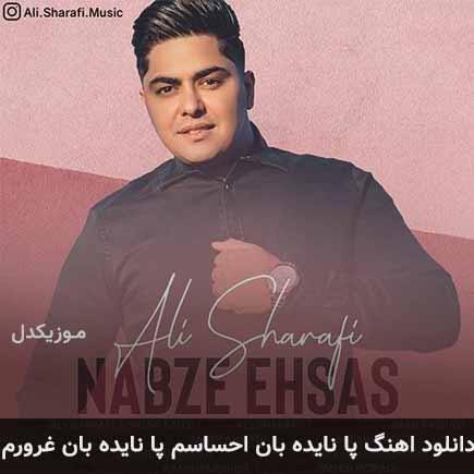 دانلود اهنگ پا نایده بان احساسم پا نایده بان غرورم علی شرفی MP3 - موزیکدل